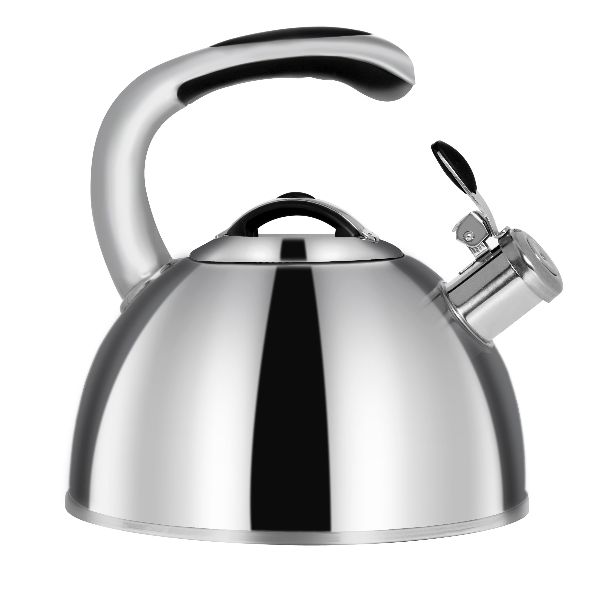 Stainless Steel Kettle | Final Touch®
